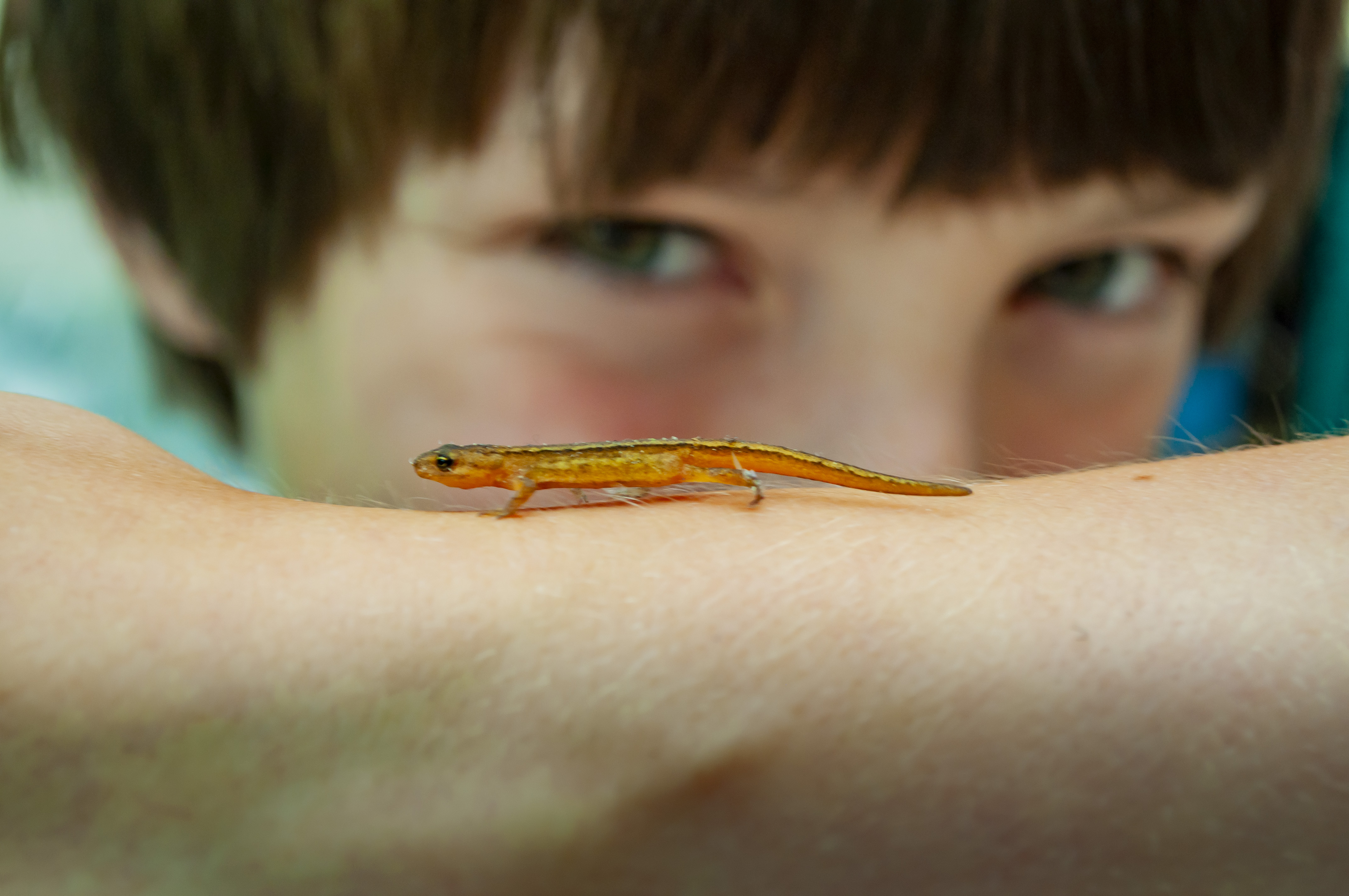 THE GREAT SIGNIFICANCE OF OBSERVING NATURE IN YOUR BACK GARDEN | Oxford ...